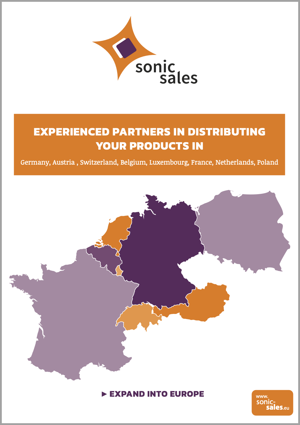 Team – Sonic Sales